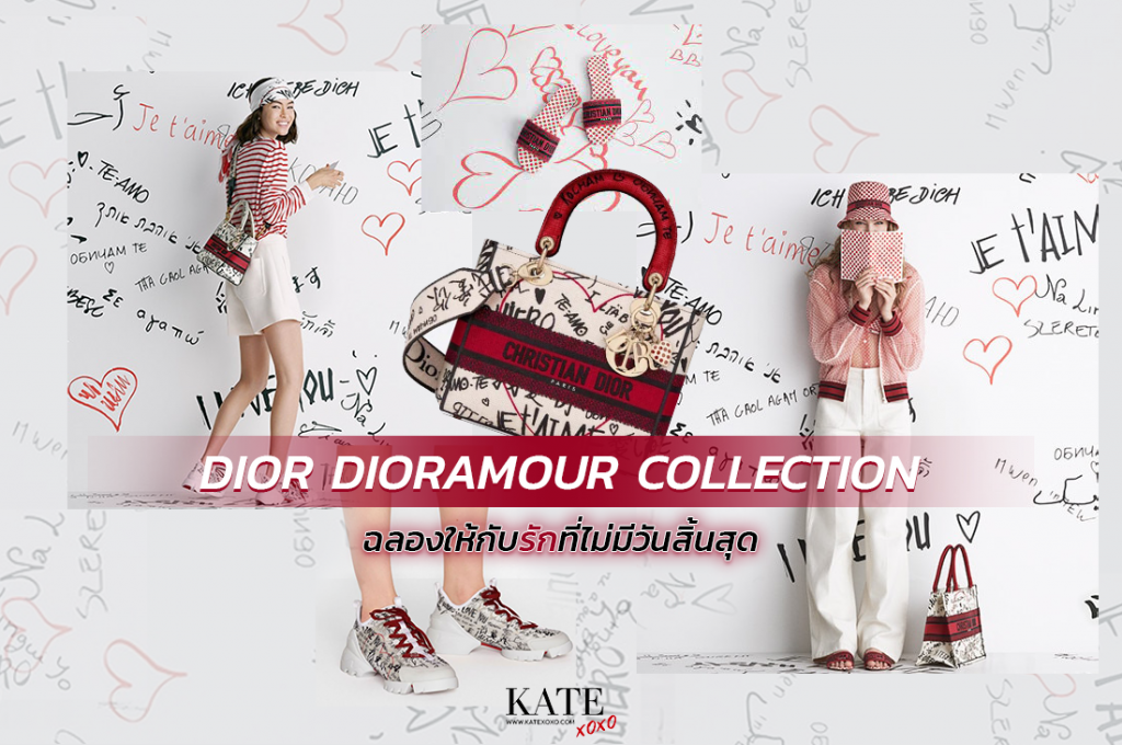 Dior Size Guide - แนะนำการเลือกขนาดกระเป๋า - KATE💋 STYLE