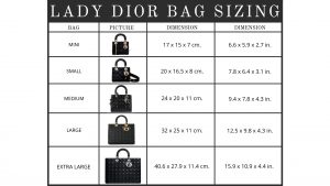 Dior Size Guide - แนะนำการเลือกขนาดกระเป๋า - KATE💋 STYLE