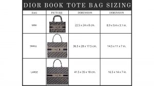 Dior Size Guide - แนะนำการเลือกขนาดกระเป๋า - KATE💋 STYLE