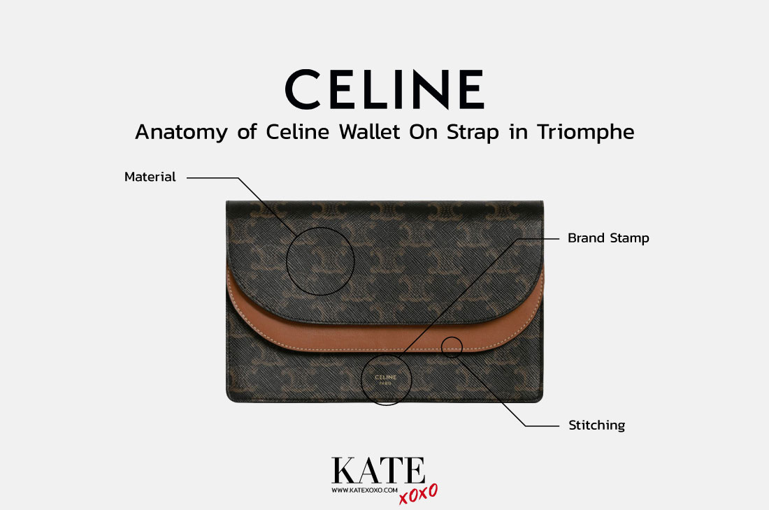 Anatomy of Celine Wallet On Strap in Triomphe Bag - KATE💋 STYLE