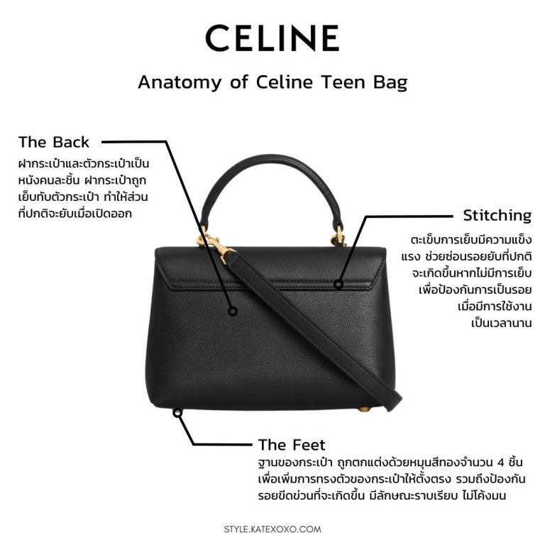 Anatomy of Celine Teen Nino Bag - KATE💋 STYLE